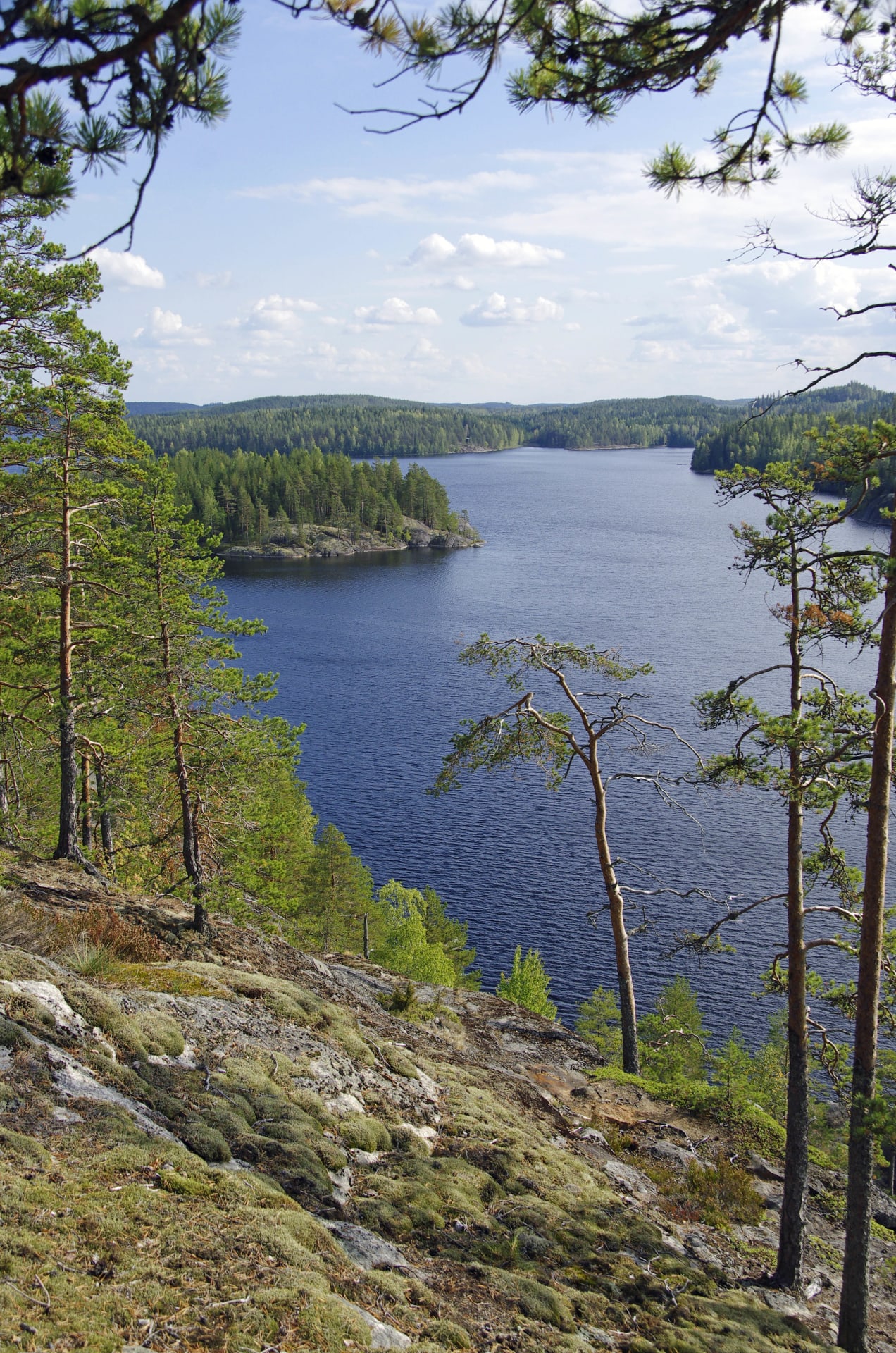 Pisamalahti Hill Fort - LakeSaimaa Purest Finland Pisamalahti Hill Fort - LakeSaimaa Purest Finland
